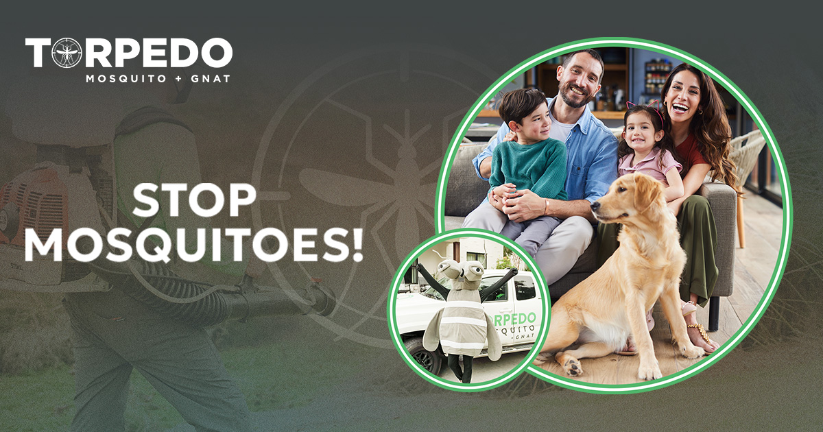 Automated Mosquito Misting System in St. Simons Island